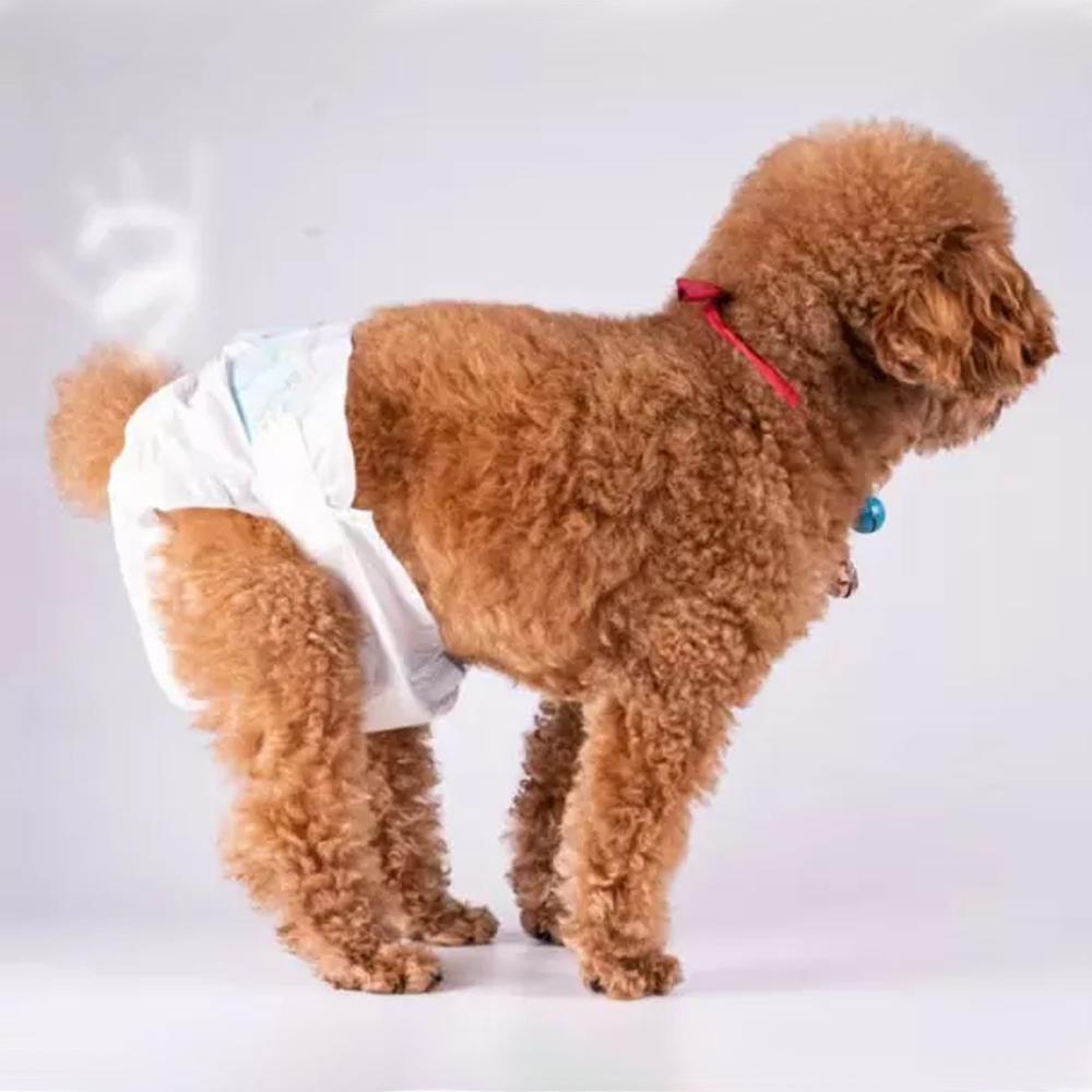 diaper cat diaper physiological pants sanitary shorts panties underwear ...